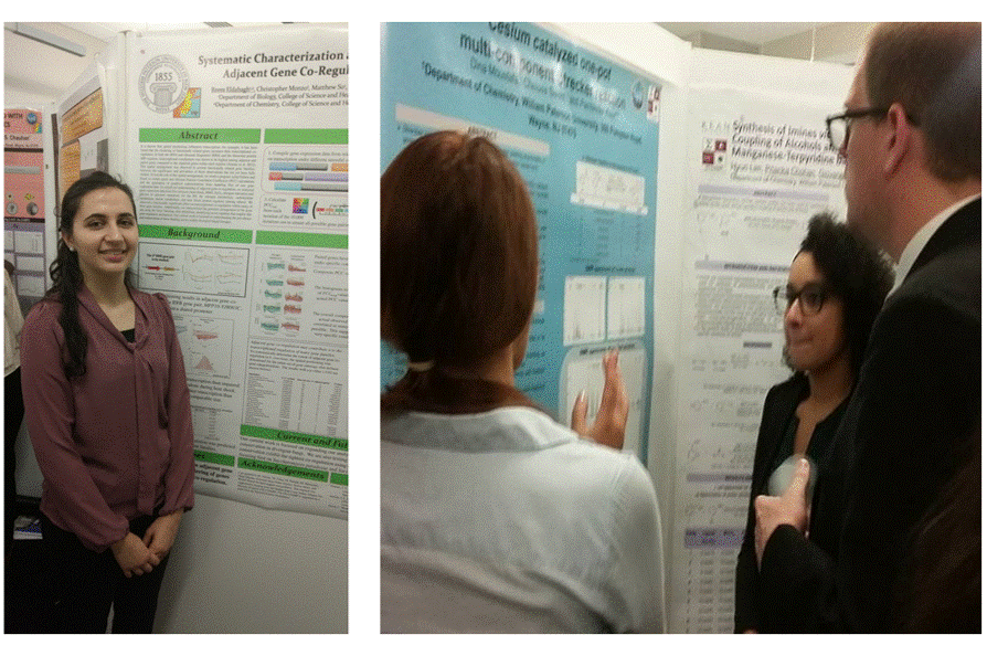 9th Annual STEM Research