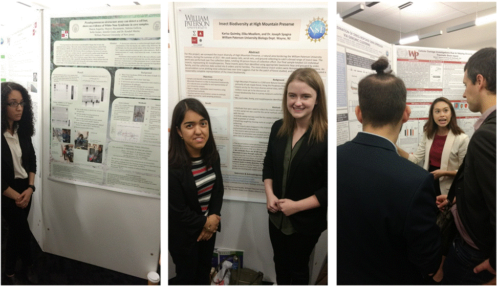 9th Annual STEM Research