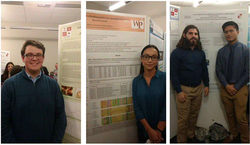 9th Annual STEM Research